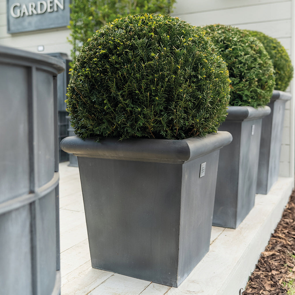 Classic Zinc Planters | A Place In The Garden